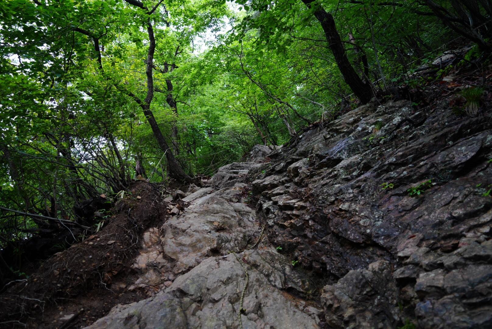 週末は山頂カフェ 29分登頂 / ta2さんの鳴神山・吾妻山の活動データ | YAMAP / ヤマップ