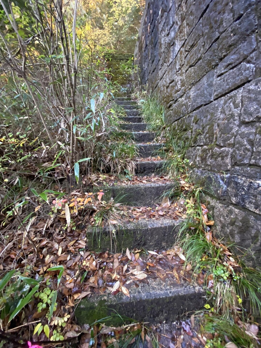 JUN’YAさんの投稿したフィールドメモ | YAMAP / ヤマップ