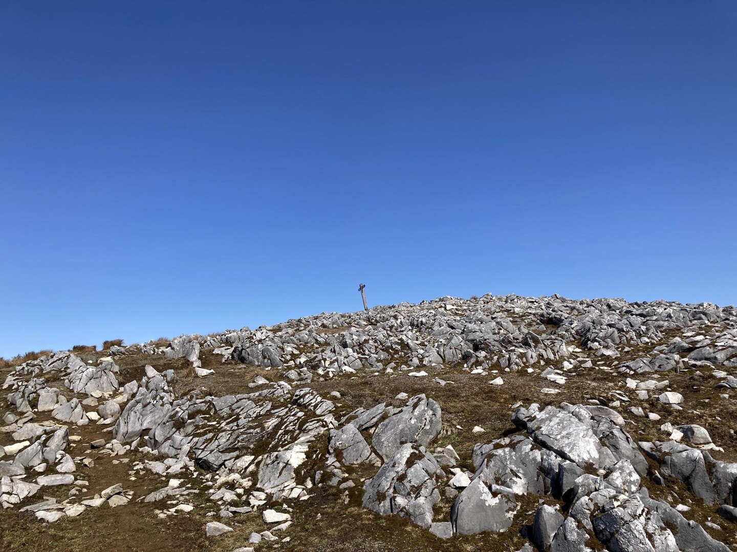 南霊岳・霊仙山最高点・霊仙山・経塚山 / tomokoさんの霊仙山の活動データ | YAMAP / ヤマップ