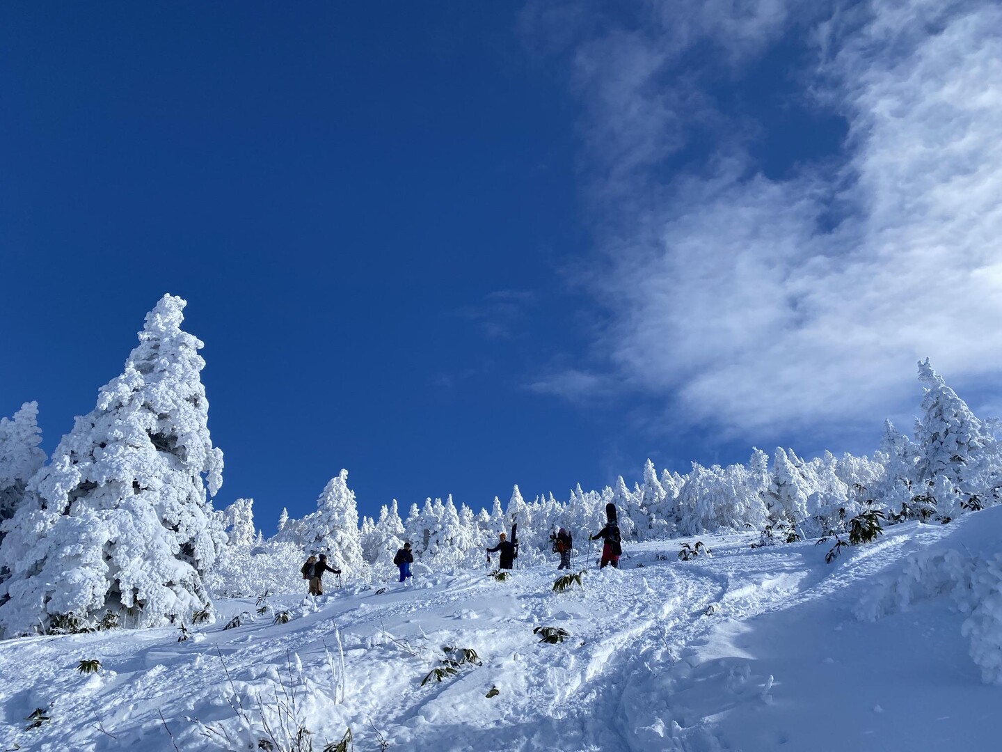 八甲田BC-ダイレクトコースハイク / ko_daiさんの八甲田山・高田大岳・雛岳の活動データ | YAMAP / ヤマップ