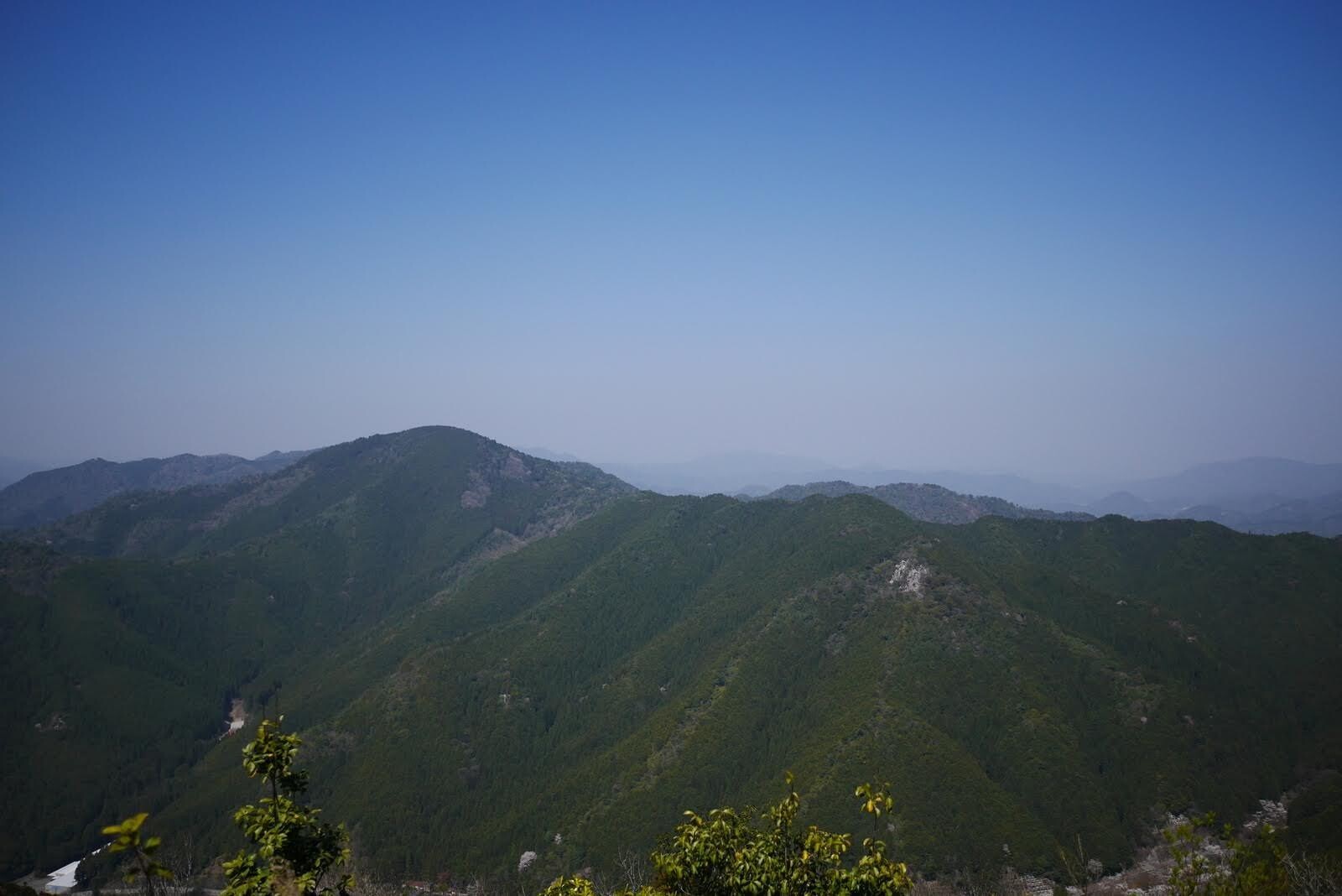 金山 / yshrtrdさんの金山の活動データ | YAMAP / ヤマップ