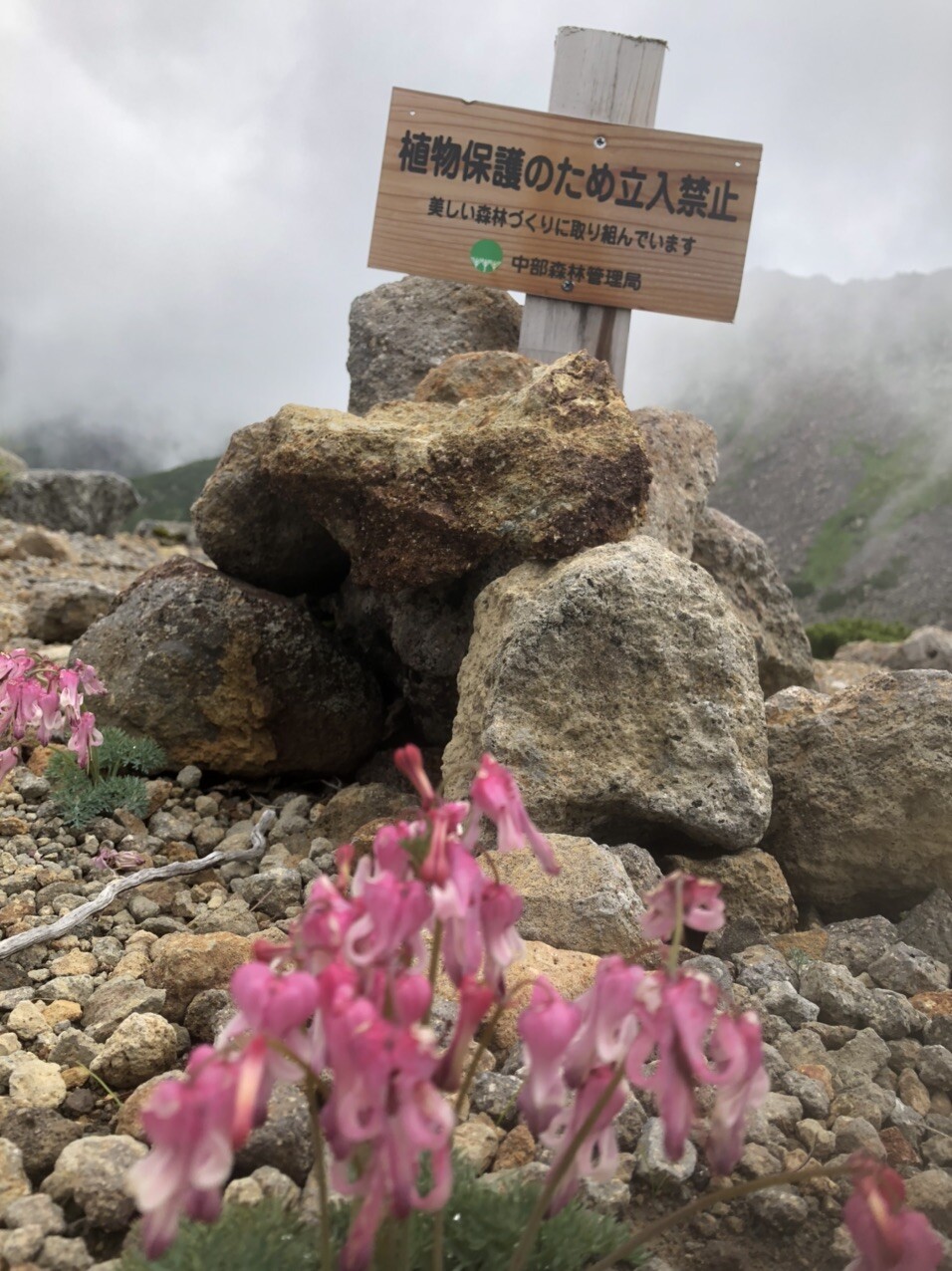 Komakusaのページ | YAMAP / ヤマップ