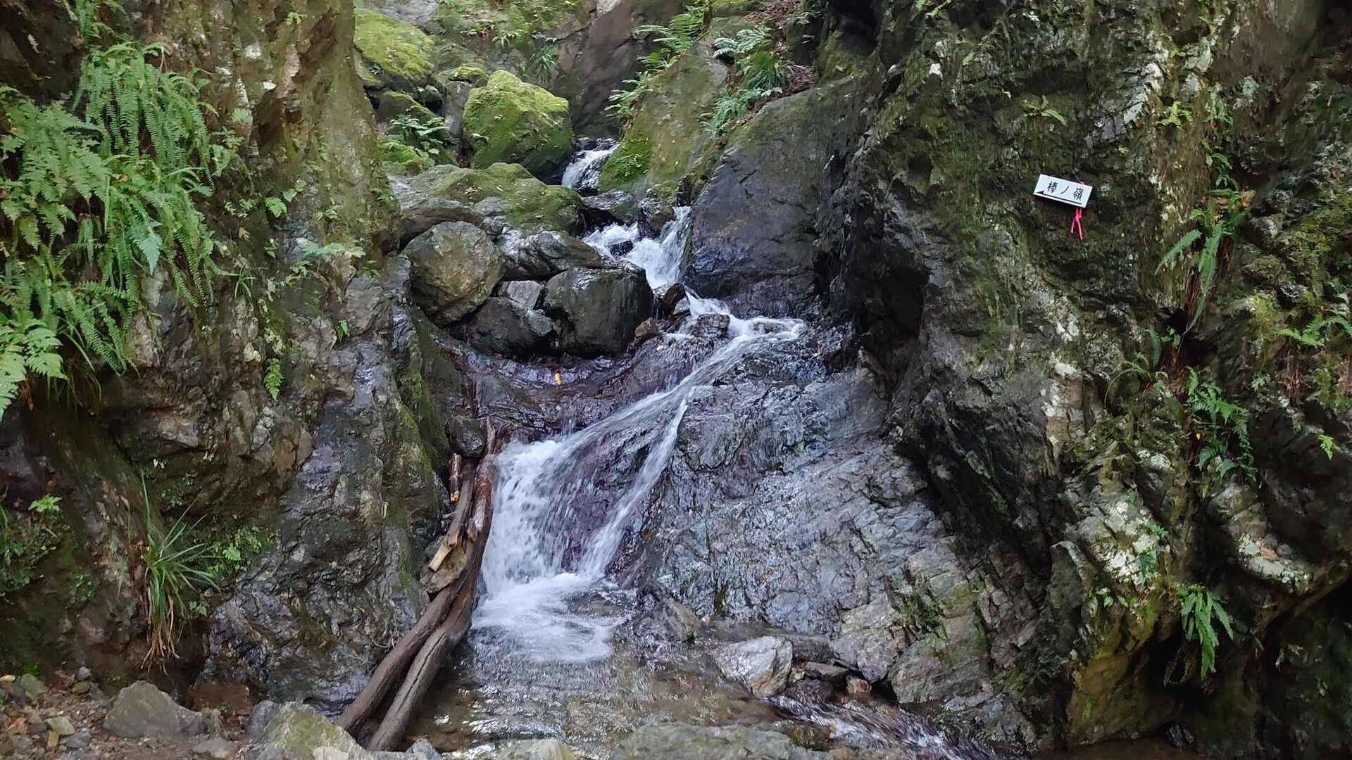 棒ノ嶺(棒ノ折山) / TKYMさんの棒ノ折山（棒ノ嶺）の活動データ | YAMAP / ヤマップ