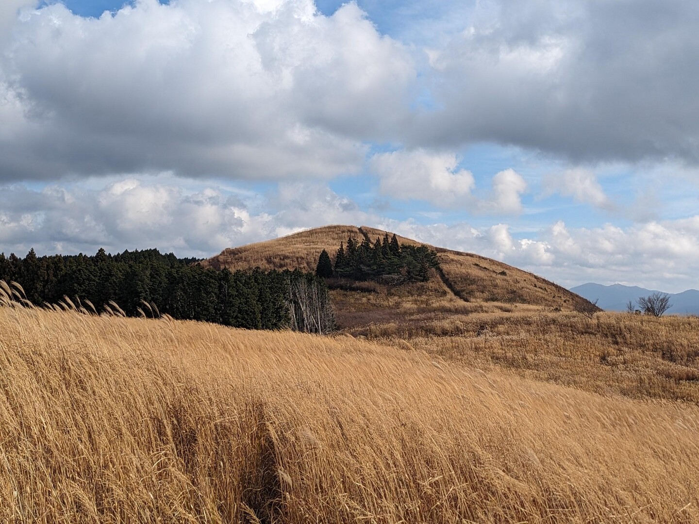😀生石ヶ峰💦関西百名山#84 / "satoh"さんの生石ヶ峰・生石高原の活動データ | YAMAP / ヤマップ