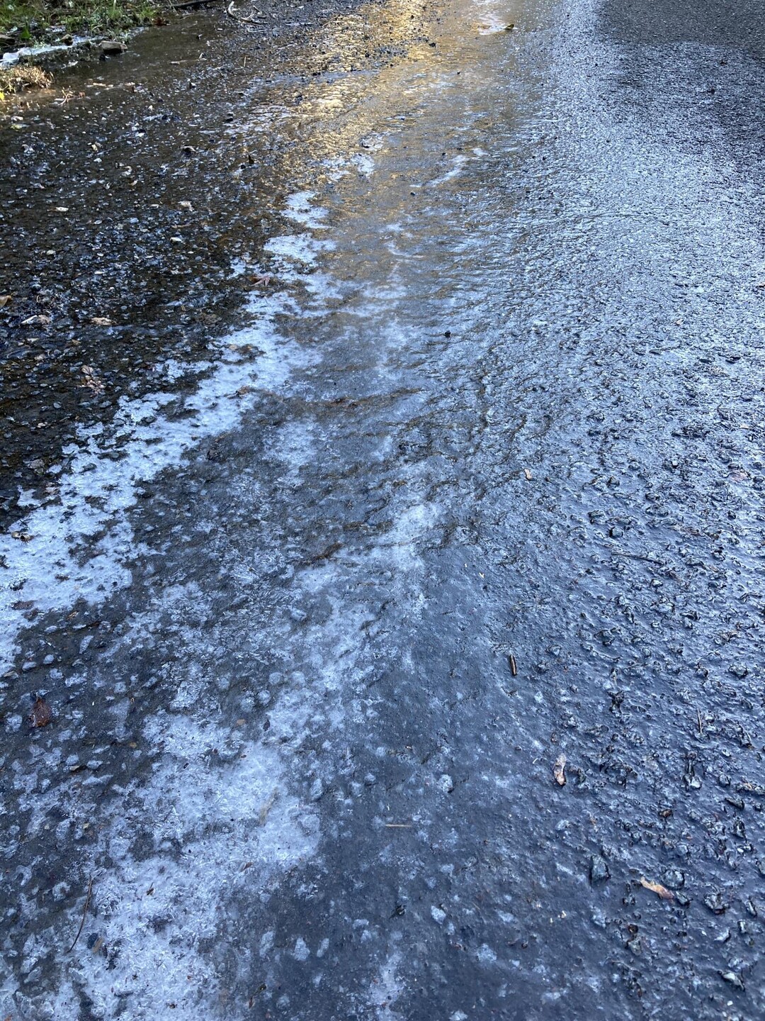 sakaさんの投稿したフィールドメモ | YAMAP / ヤマップ