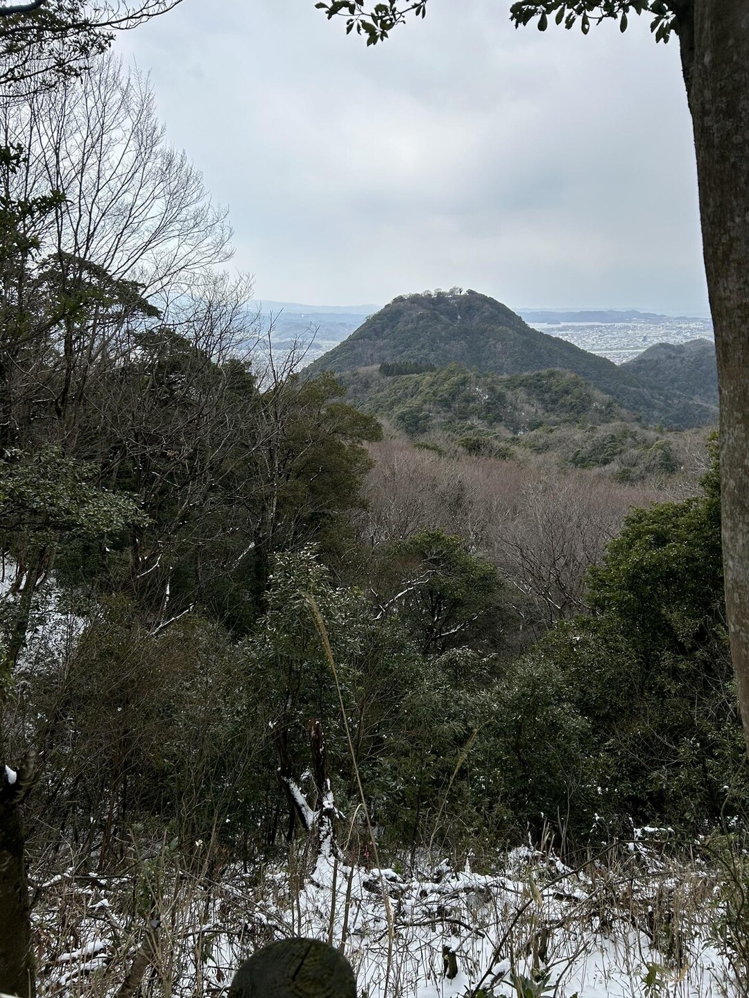 本陣山-2024-03-03 / Jinさんのウォーキングの活動データ | YAMAP / ヤマップ