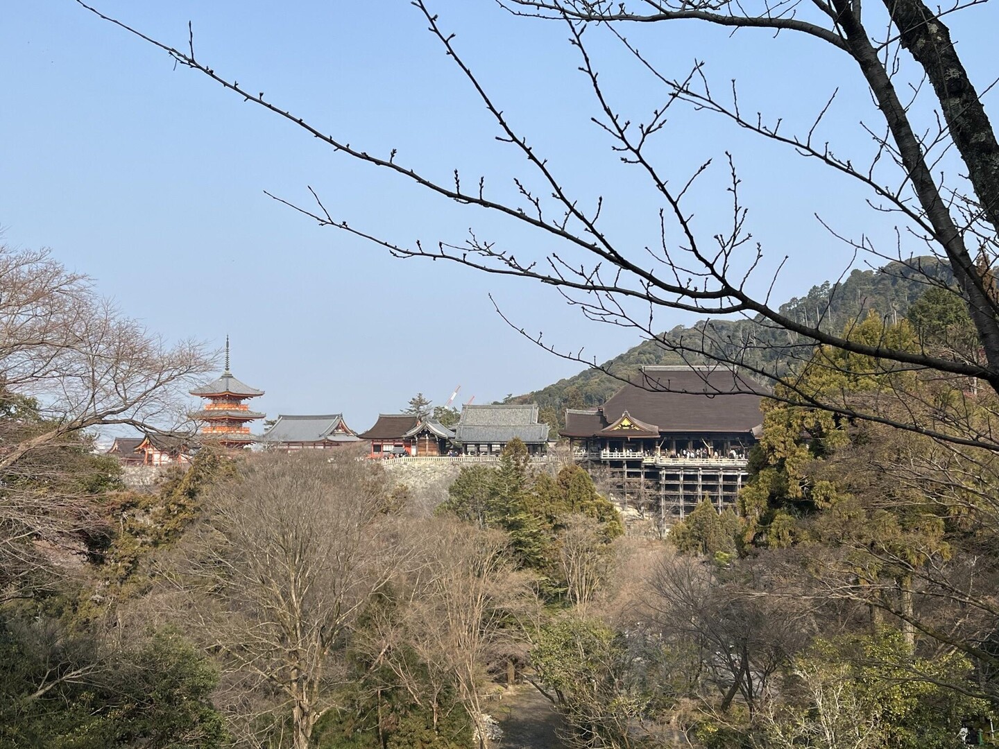 東山・今熊野山・稲荷山 2023-01-09 / P5さんの京都一周トレイルの活動データ | YAMAP / ヤマップ