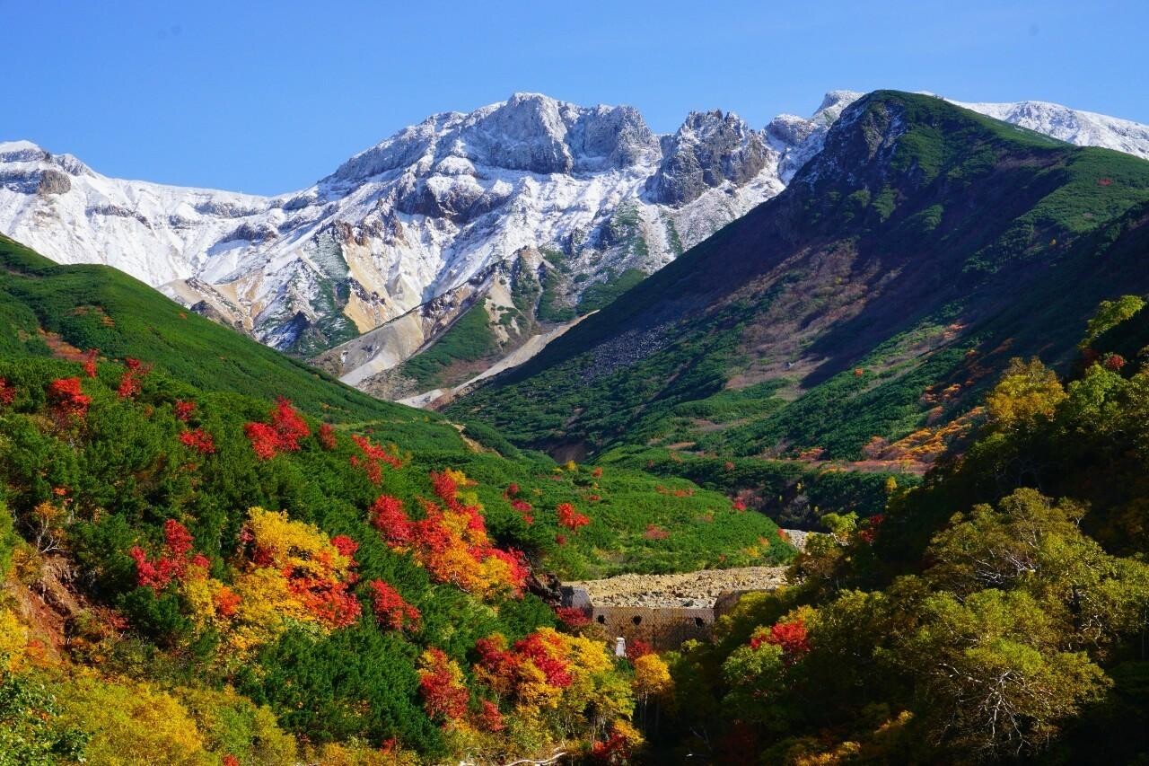 🍁十勝岳温泉郷の紅葉🍁 今年ようやく... / まーちゃんさんのモーメント | YAMAP / ヤマップ