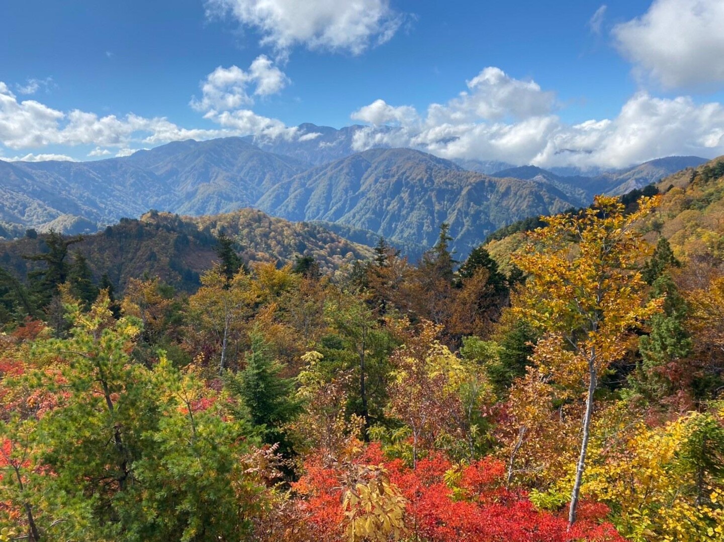 紅葉まみれのハイジ達【三方岩岳】 / Cocoさんの白山・別山・銚子ヶ峰の活動データ | YAMAP / ヤマップ