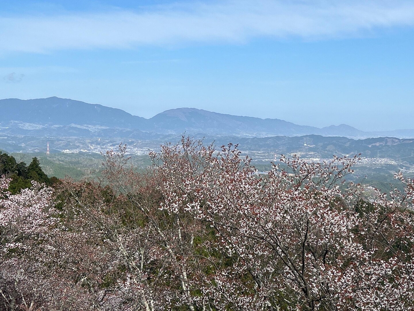 高城山 / Madelineさんの吉野山・青根ヶ峰・百貝岳の活動データ | YAMAP / ヤマップ