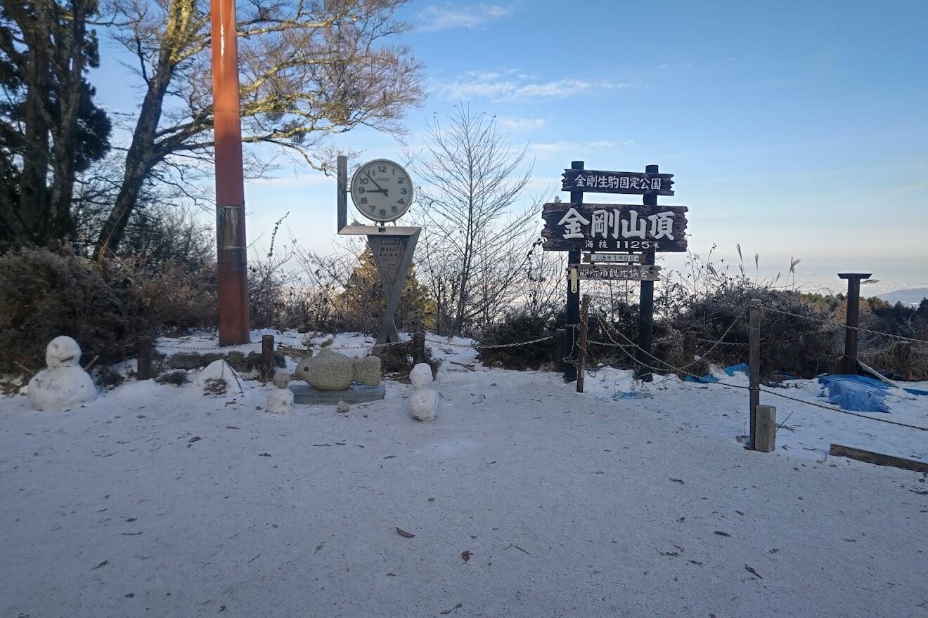 金剛山 寺谷・文殊中尾根(^^♪ / よっし～！さんの金剛山・二上山・大和葛城山の活動データ | YAMAP / ヤマップ