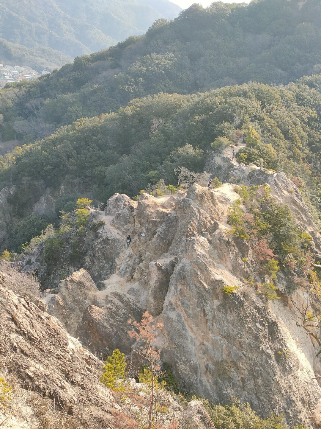 大人の遠足🍙〜須磨アルプス〜 / uosukiさんの六甲山・長峰山・摩耶山の活動データ | YAMAP / ヤマップ