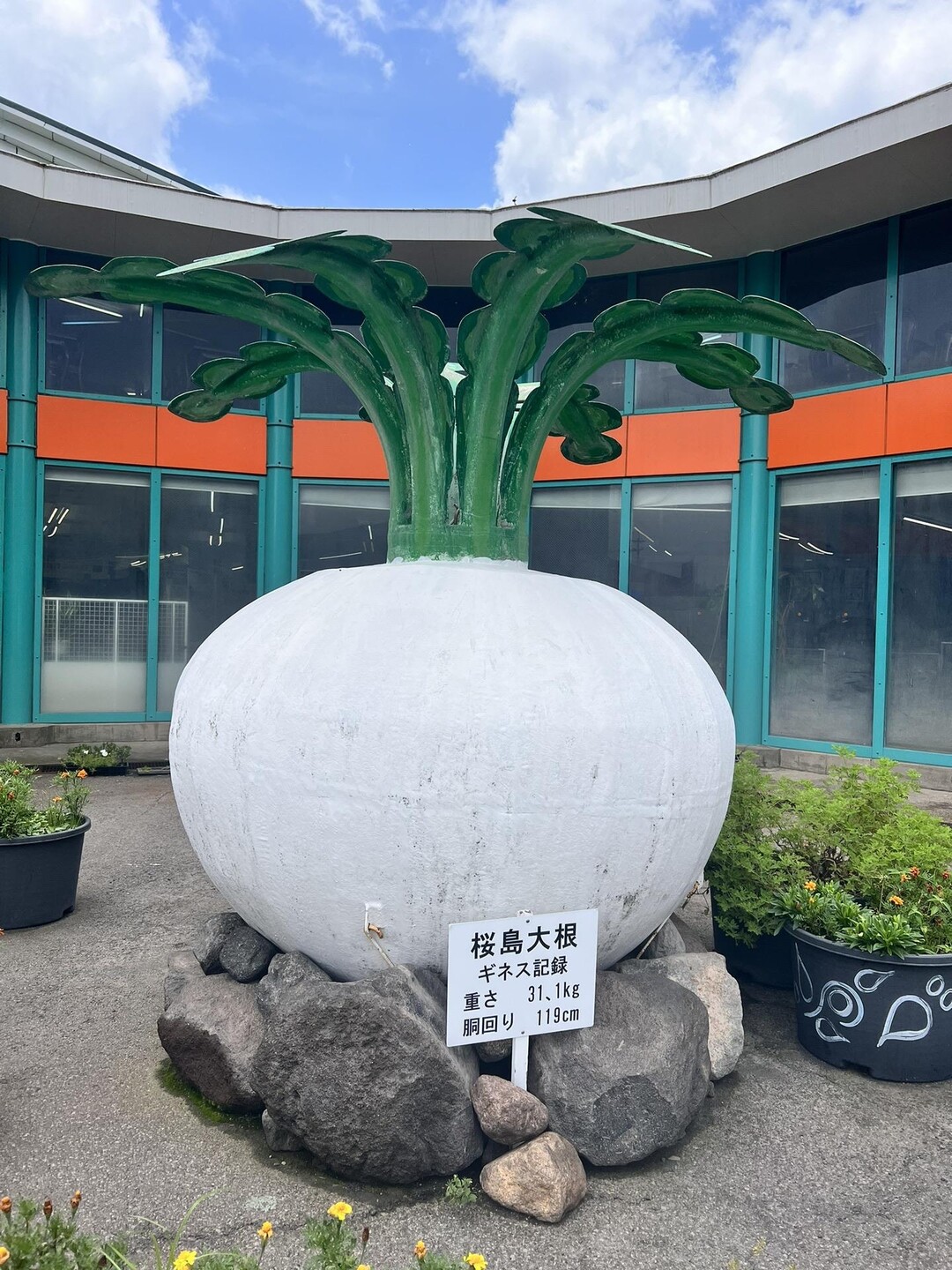 2023-07-09 桜島にて世界にほこるSABOをまなぶ📝 / luluさんのウォーキングの活動データ | YAMAP / ヤマップ