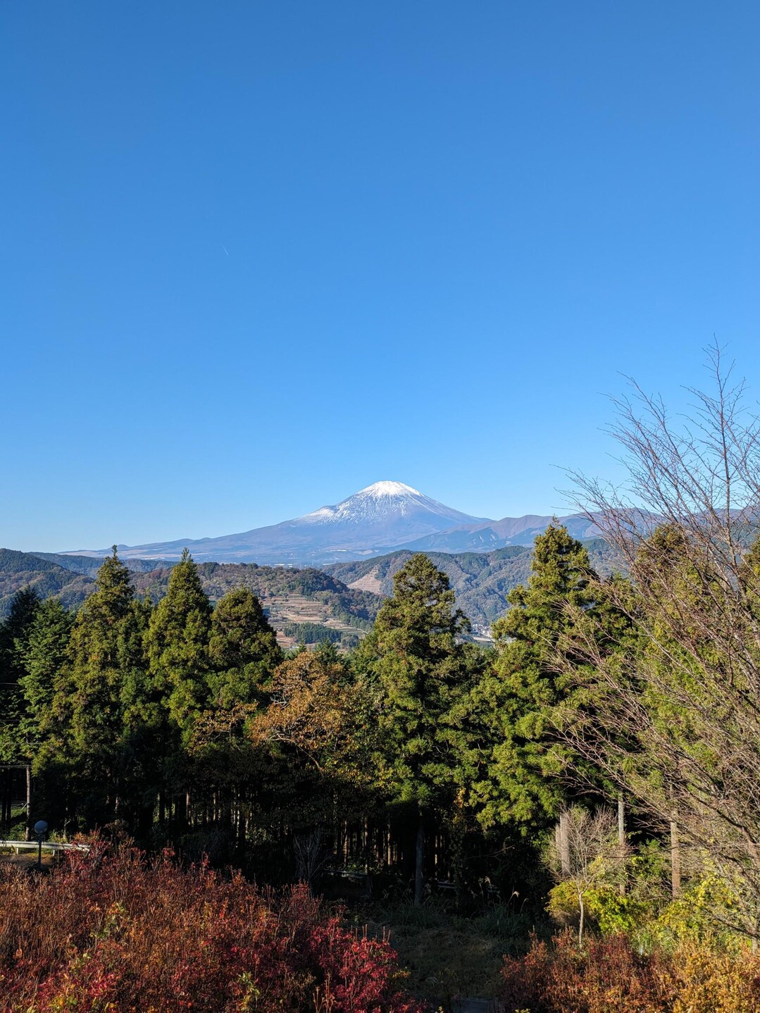 大野山・つつじ山・さくら山 / Azu&Samさんの高松山・大野山の活動データ | YAMAP / ヤマップ