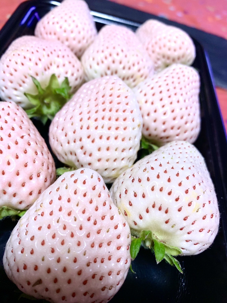 White day💕 チョコのお返しに... / すい🌸さんのモーメント | YAMAP / ヤマップ