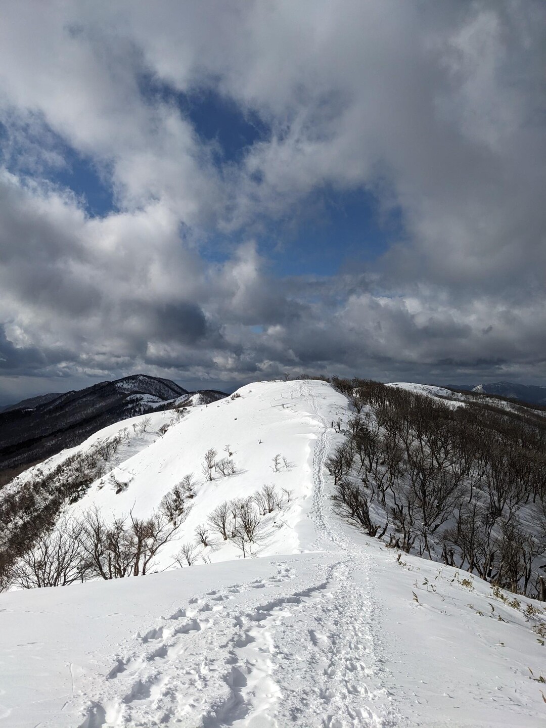 那岐山 / seigoさんの那岐山・滝山・広戸仙の活動データ | YAMAP / ヤマップ
