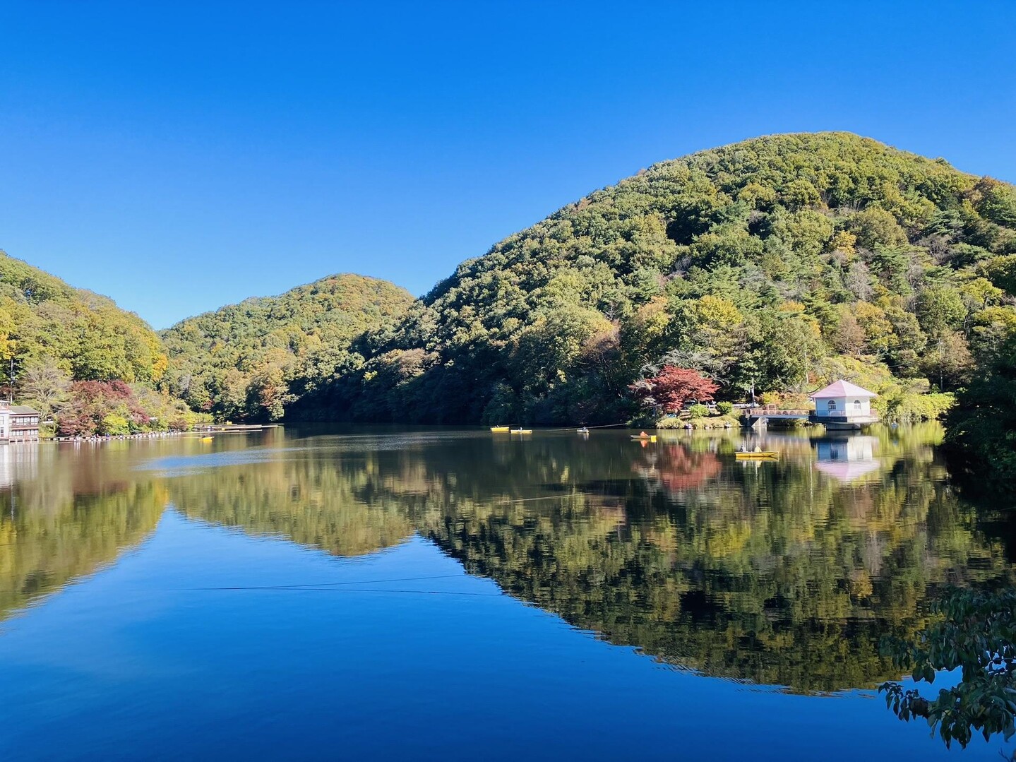 寄居登山（鐘撞堂山・高根山・羅漢山・西高山etc..） / Masalaさんの宝登山・長瀞アルプス・不動山・陣見山・鐘撞堂山の活動データ | YAMAP / ヤマップ