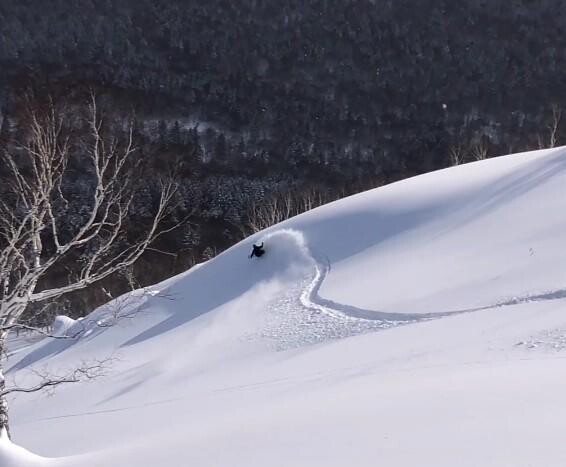 国境山BC / don_a1984さんのGT3 6の活動データ | YAMAP / ヤマップ