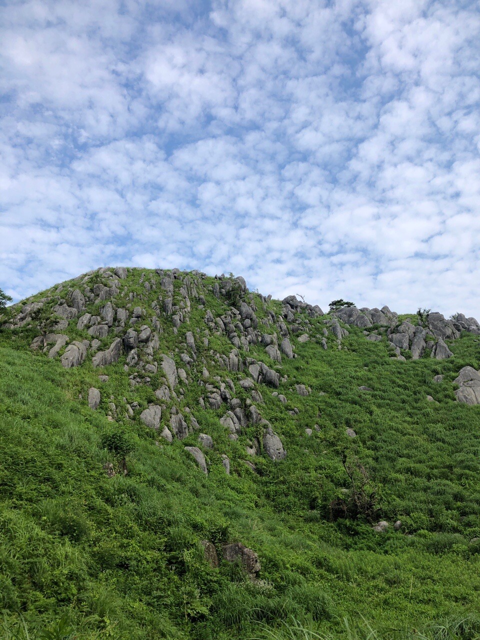 平尾台トレイルランニング / Haku(キノちゃん)さんの平尾台トレイルランニングレースの活動データ | YAMAP / ヤマップ