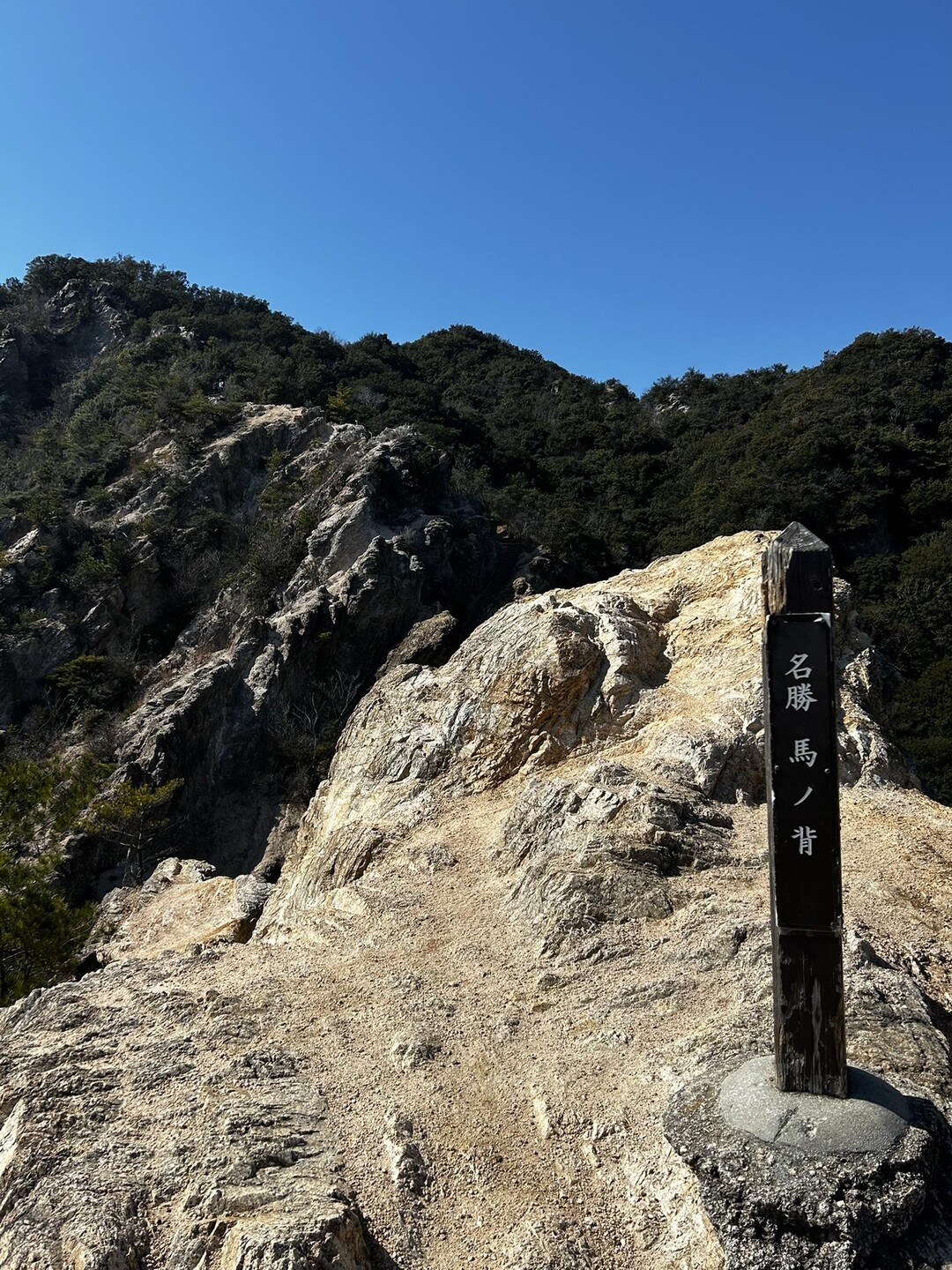 旗振山・鉄拐山・高倉山・栂尾山・横尾山・東山 / totoさんの六甲山・長峰山・摩耶山の活動データ | YAMAP / ヤマップ