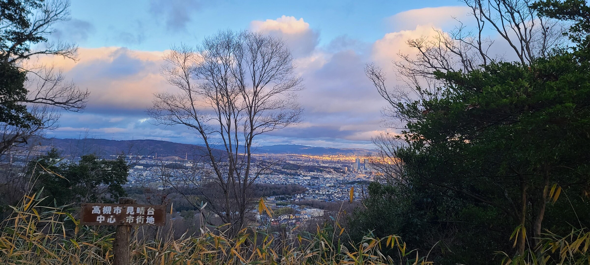 阿武山 / 7D-U39さんの竜王山・阿武山の活動データ | YAMAP / ヤマップ