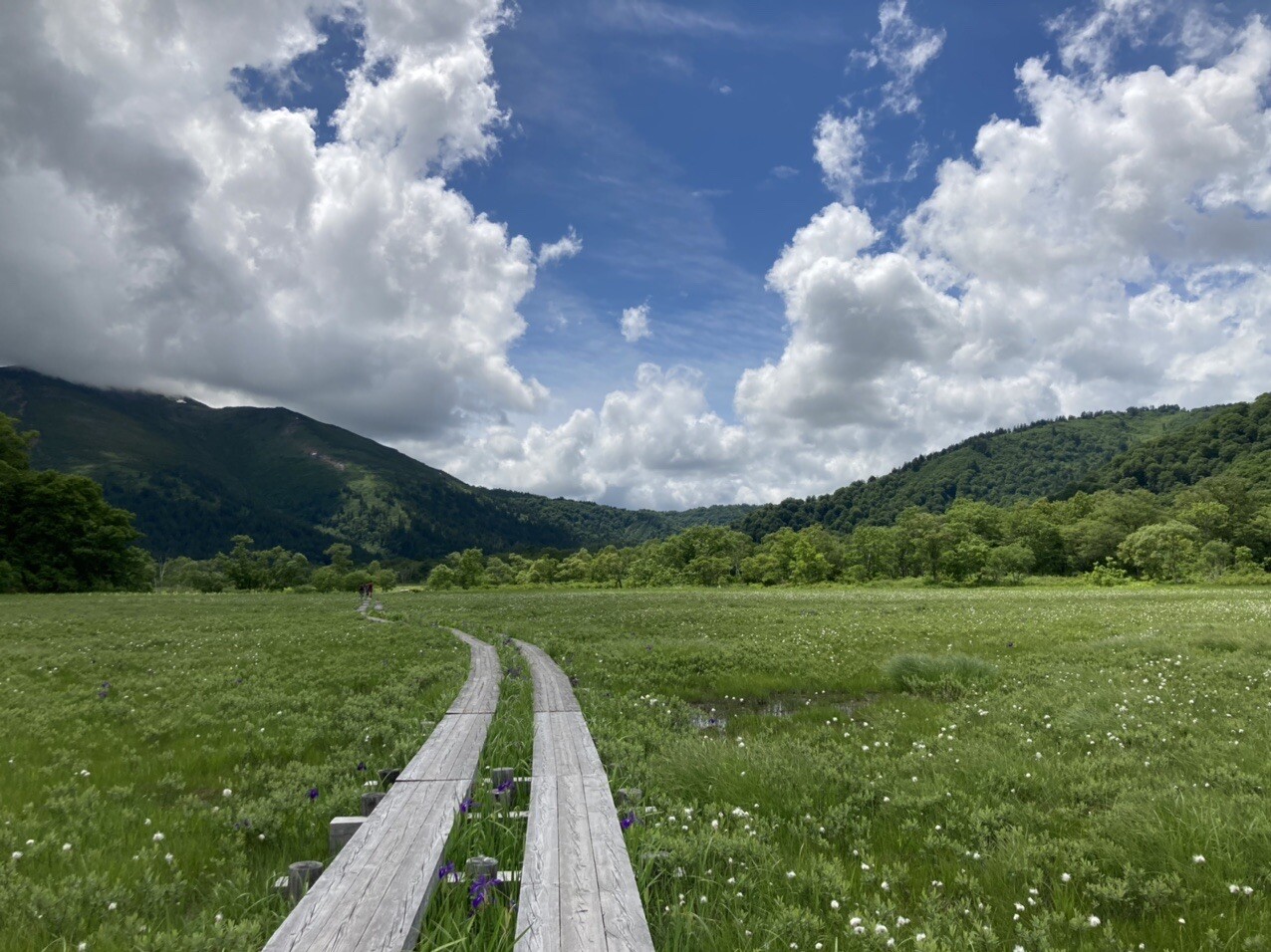 尾瀬・燧ヶ岳-2021-07-03 / terumiさんの尾瀬・燧ヶ岳の活動データ | YAMAP / ヤマップ