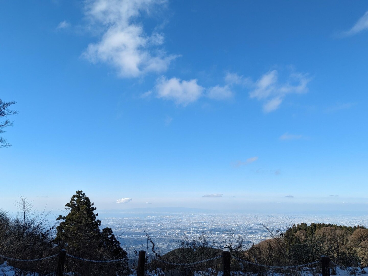 金剛山・葛木岳・大日岳 / mo-mo-さんの金剛山・二上山・大和葛城山の活動データ | YAMAP / ヤマップ