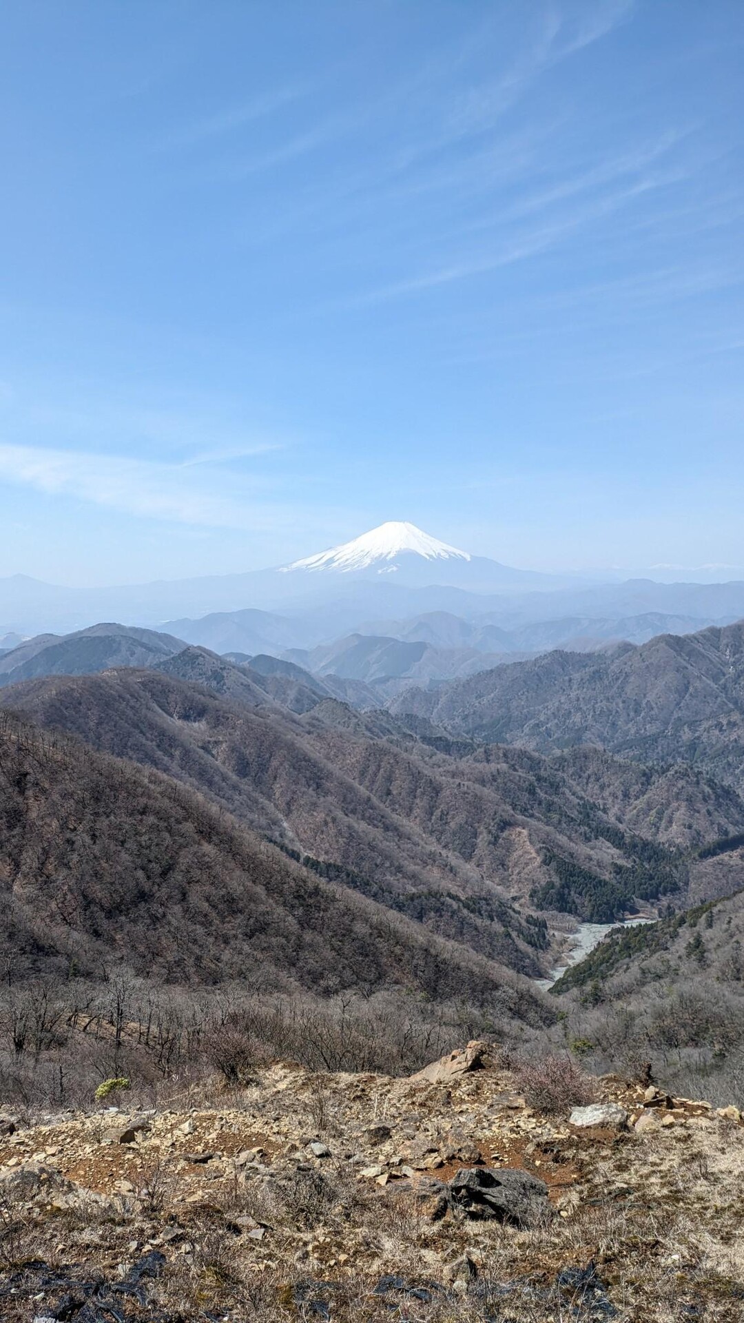 Debut 〜おとんの気ままな山旅日記🗻182 / ぶるうさんの塔ノ岳・丹沢山・蛭ヶ岳の活動データ | YAMAP / ヤマップ