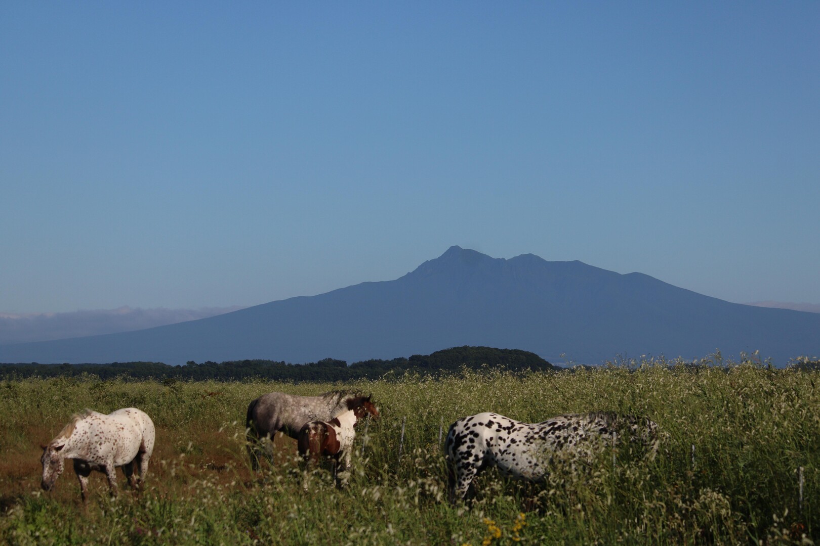 涼を求めて「北海道2023」⑪番外編 「... / パパはTonyさんのモーメント | YAMAP / ヤマップ