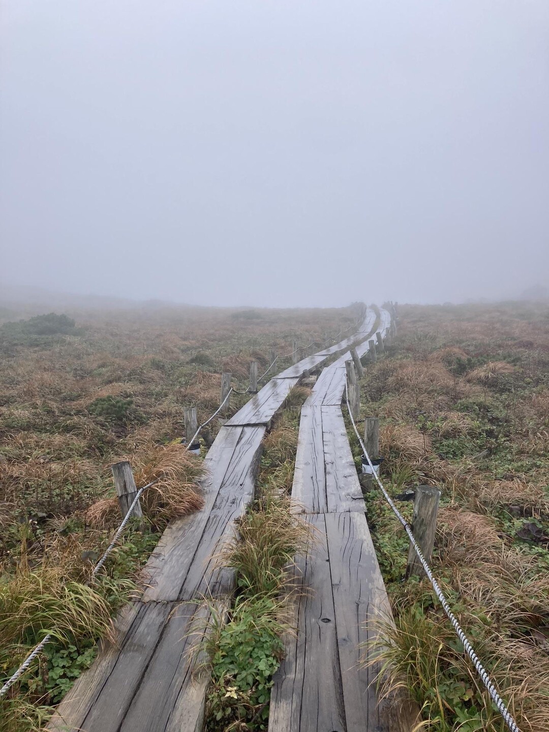 男女岳（秋田駒ヶ岳） / risaさんの秋田駒ヶ岳・男女岳・貝吹岳の活動データ | YAMAP / ヤマップ