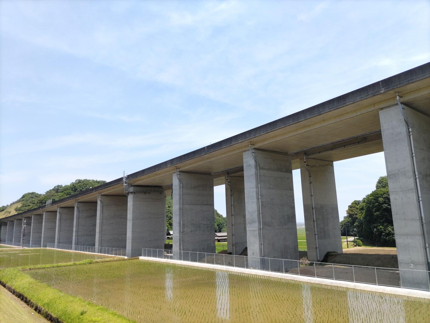 桝形山【312.3m】浄眼寺周回ｺｰｽ 気温29℃位で今日は暑いです(^o^) / さとちゃんさんの堀坂山・観音岳・桝形山（白米城）の活動データ | YAMAP / ヤマップ