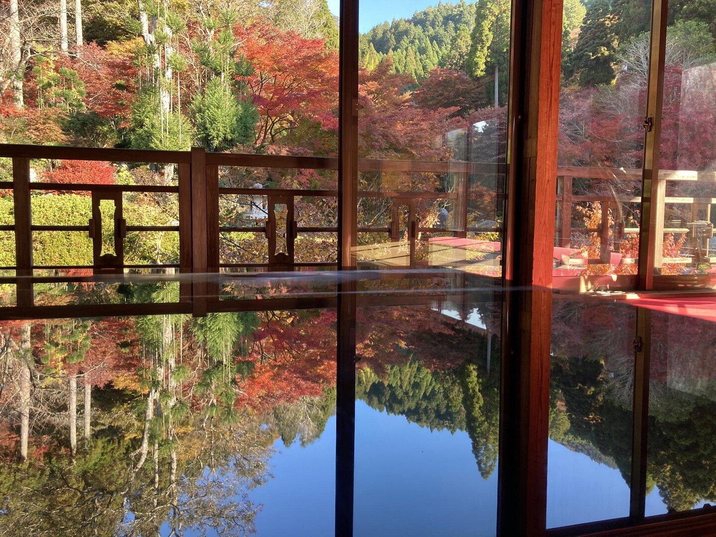 作礼山・作礼山東峰（権現山）・897ピーク / ハシケンさんの作礼山の活動データ | YAMAP / ヤマップ