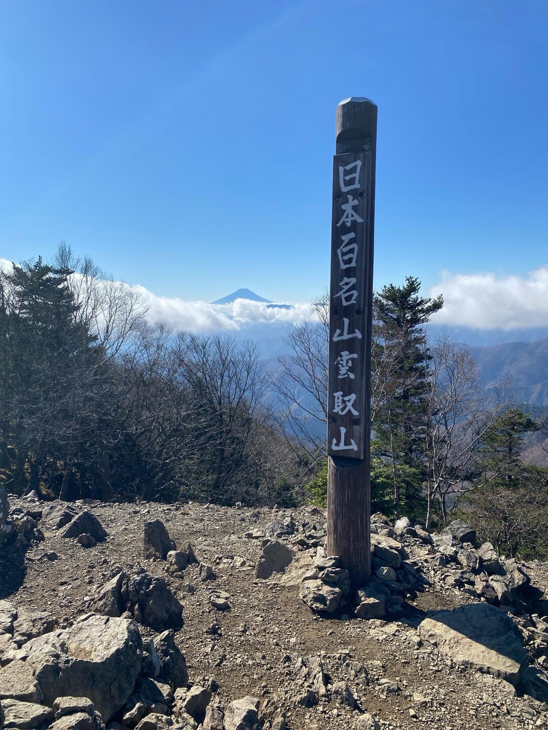 霧藻ヶ峰・前白岩山・白岩山・雲取山 / takeo fujiiさんの雲取山・鷹ノ巣山・七ツ石山の活動データ | YAMAP / ヤマップ