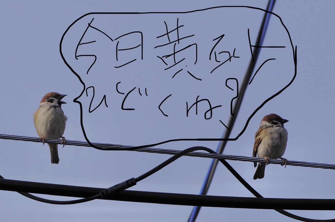 2021.03.31(水) 06:10 / TAKECOさんのモーメント | YAMAP / ヤマップ