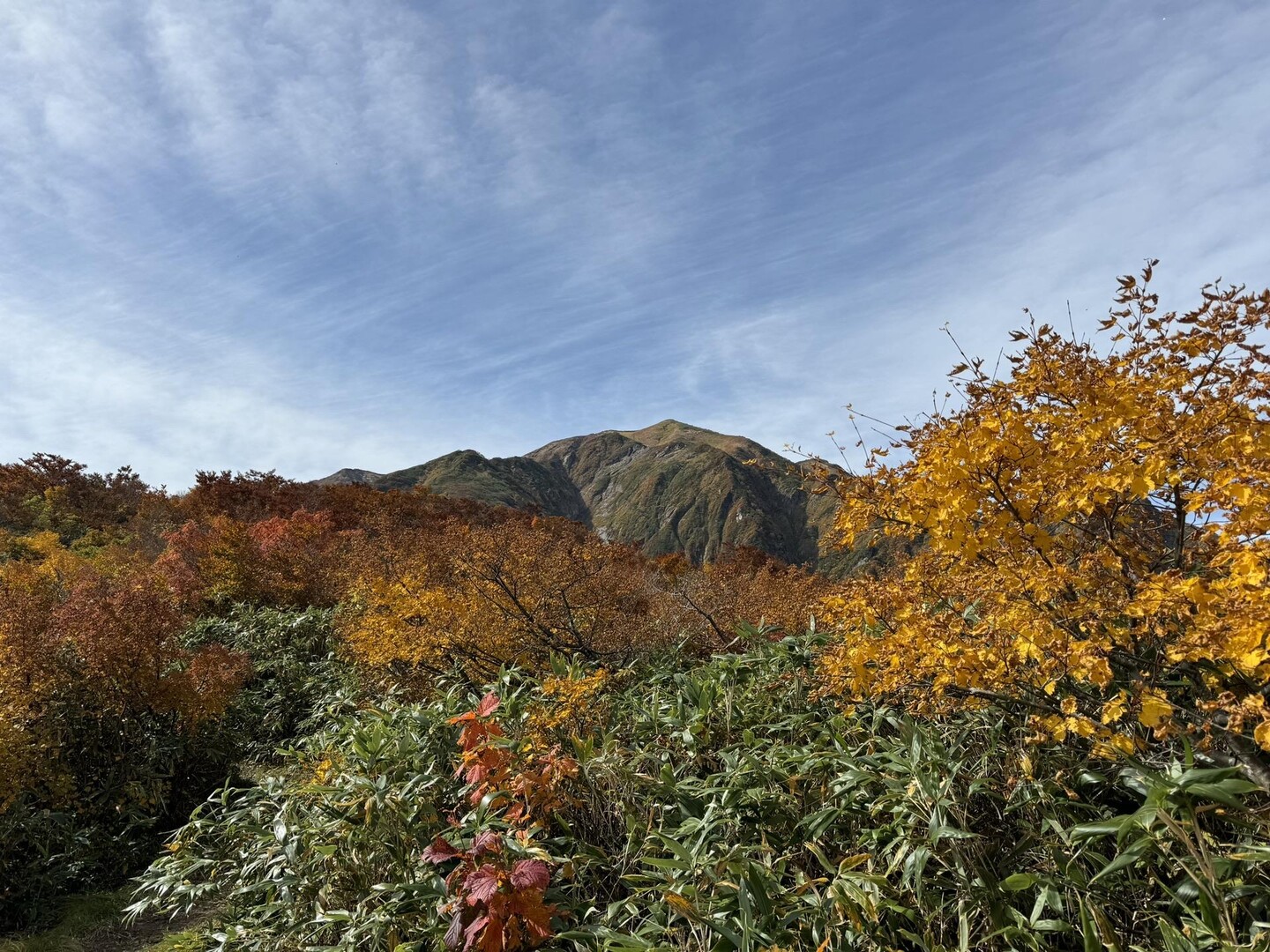 越後駒ヶ岳、紅葉🍁 / katsさんの越後駒ヶ岳・八海山・中ノ岳の活動データ | YAMAP / ヤマップ