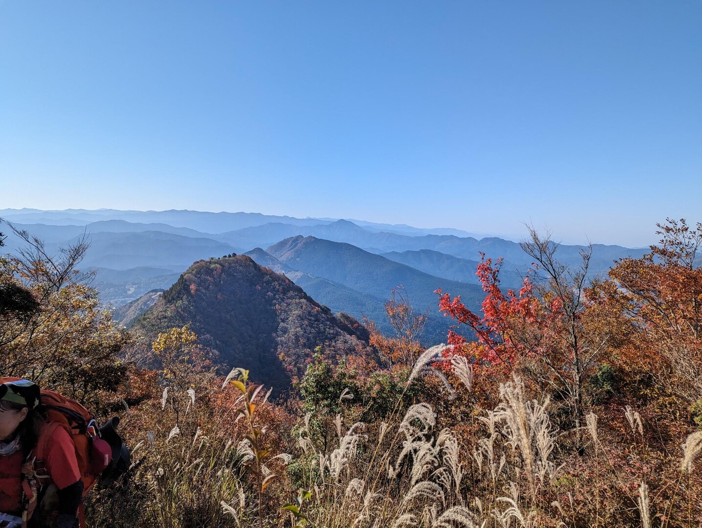 二本ボソ・倶留尊山 / hana356さんの倶留尊山・曽爾高原・古光山の活動データ | YAMAP / ヤマップ