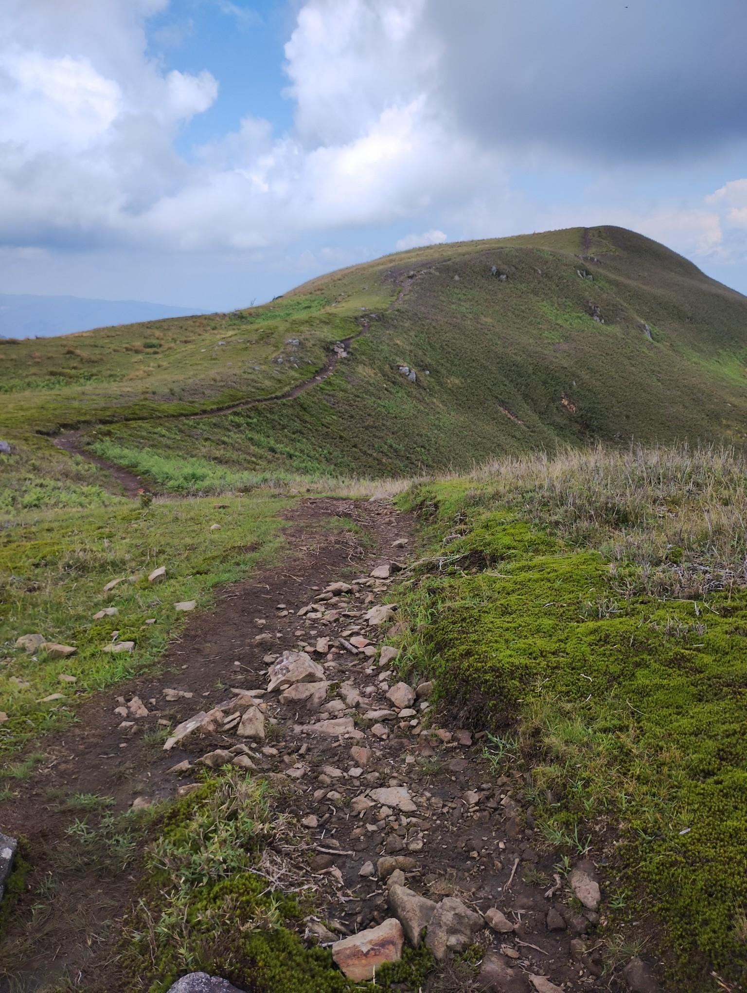 竜ヶ岳 / YA-manさんの竜ヶ岳の活動データ | YAMAP / ヤマップ