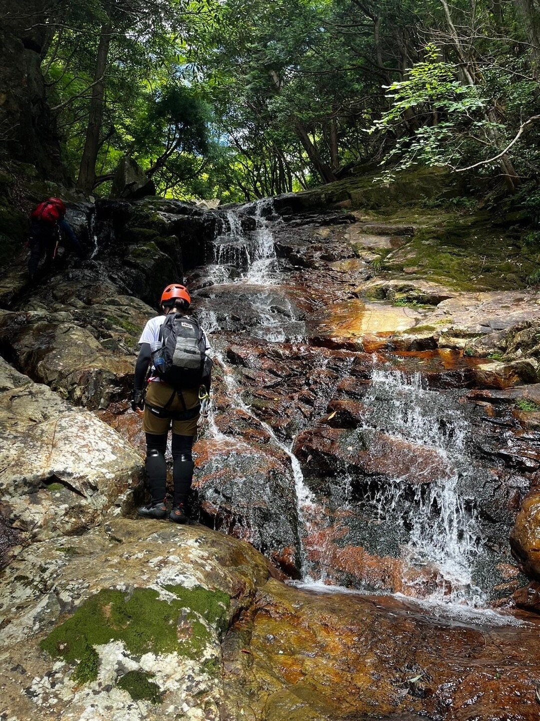 段ヶ峰・倉谷遡行 / nyaomaskさんの段ヶ峰・笠杉山・千町ヶ峰の活動日記 | YAMAP / ヤマップ