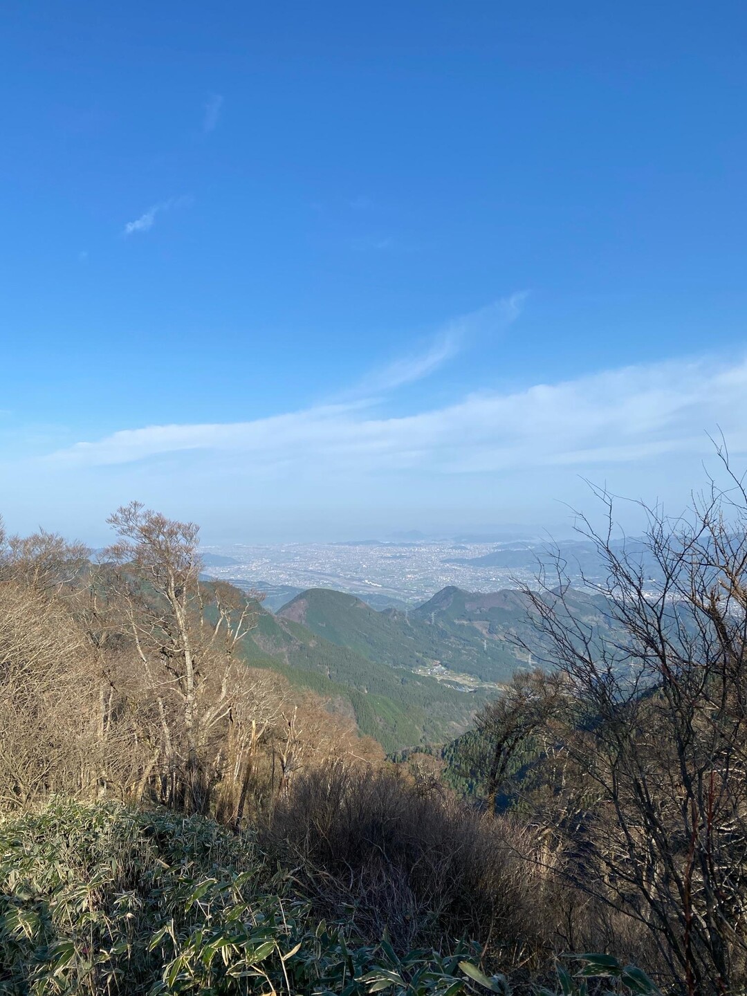 梅ヶ谷山・根無山2024-LABEL OF COMPLEX- / ko_h5kwさんの皿ヶ嶺・梅ヶ谷山・うなめごの活動データ | YAMAP / ヤマップ