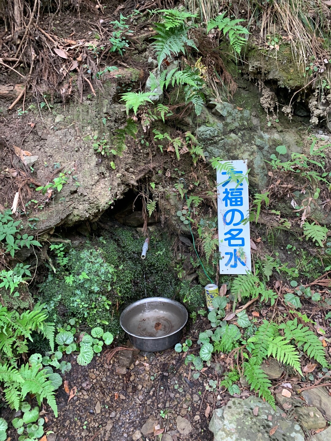 iwanemanさんの投稿したフィールドメモ | YAMAP / ヤマップ