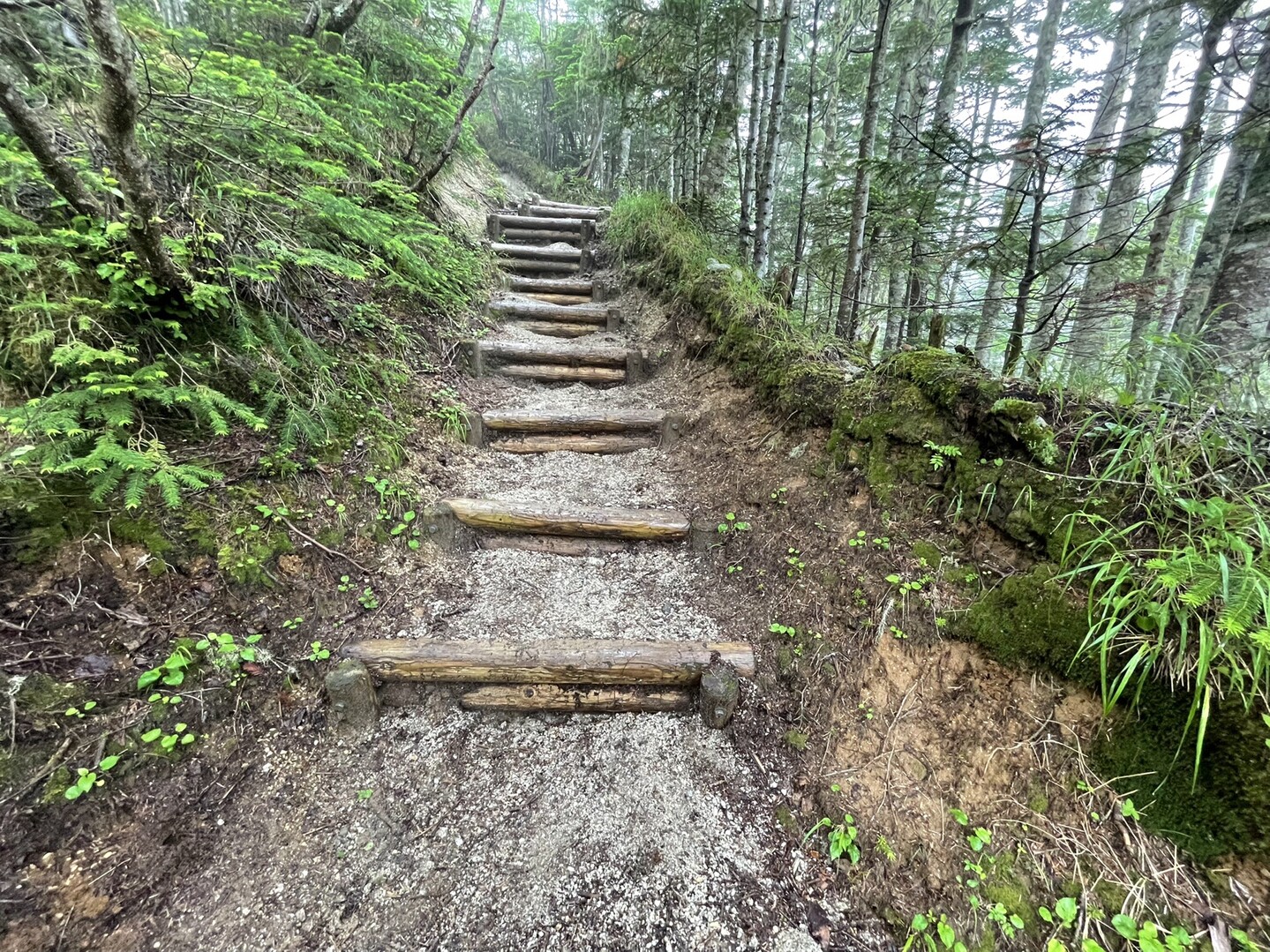 tsk-chaponさんの投稿したフィールドメモ | YAMAP / ヤマップ