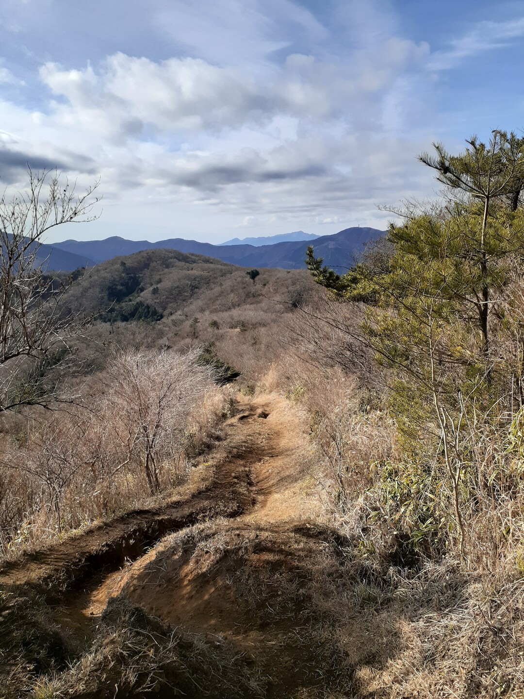 ko usさんの投稿したフィールドメモ | YAMAP / ヤマップ