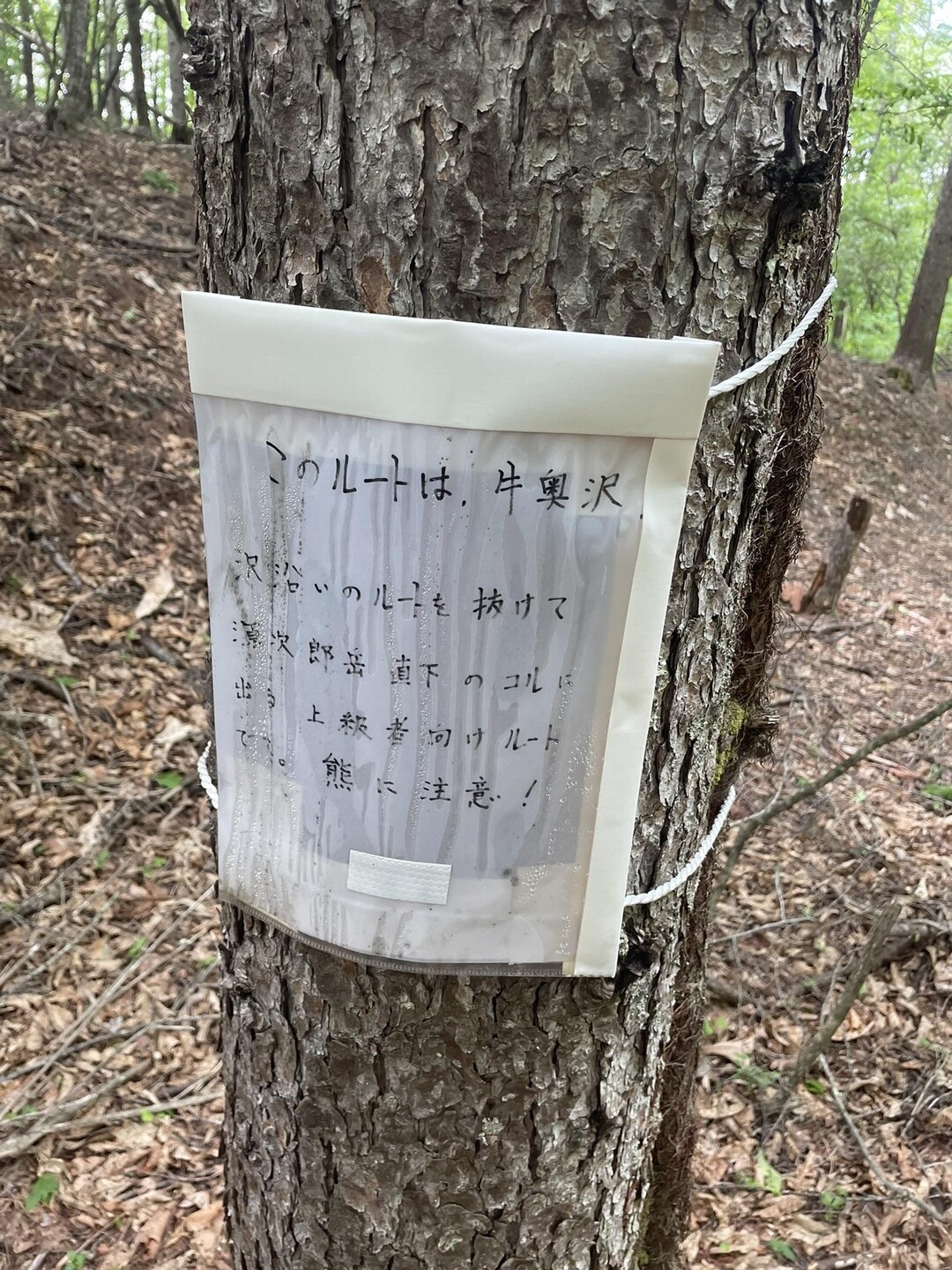 hideshanさんの投稿したフィールドメモ | YAMAP / ヤマップ