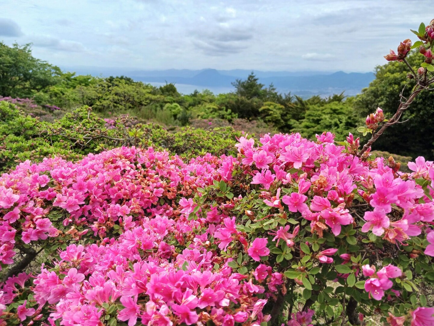 経塚山・七つ石山🌺 / hiroyoさんの経塚山の活動データ | YAMAP / ヤマップ