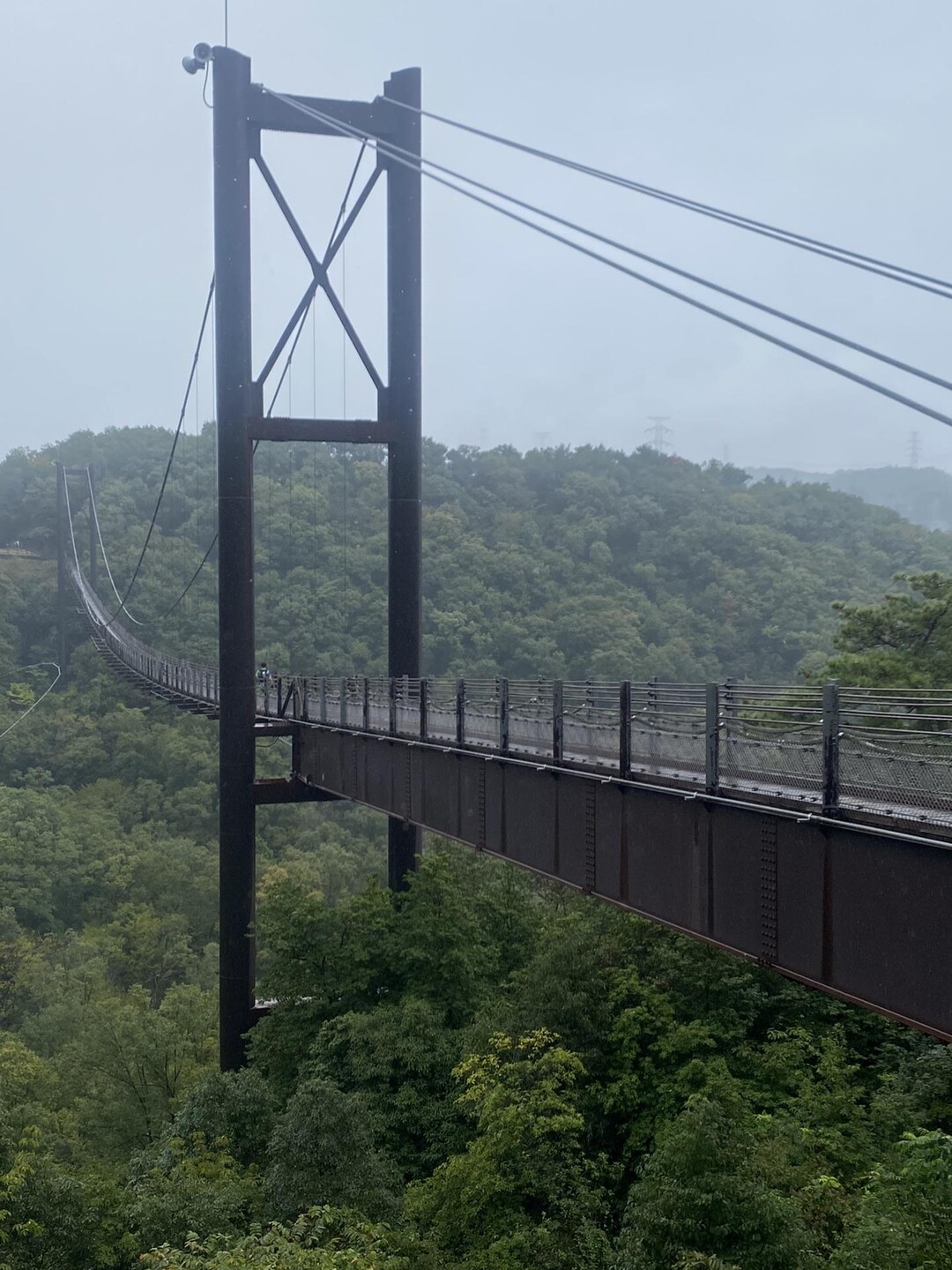 サエモンのトレランイベント2022.10.10 / aya-ponponさんの生駒山・神津嶽・大原山の活動データ | YAMAP / ヤマップ