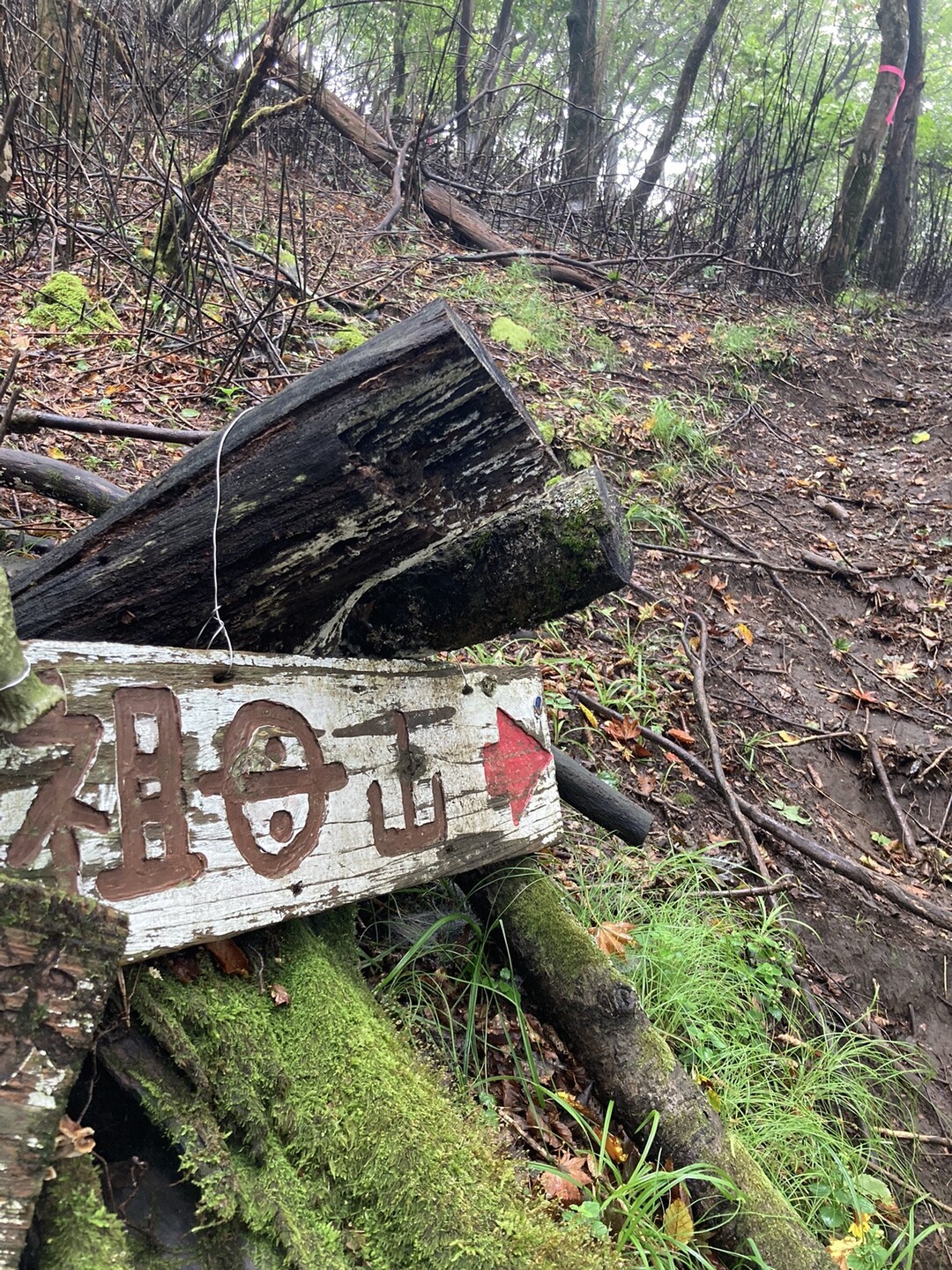 祖母山⛰ 初山小屋！！🏃‍♂️💨 / ryu_ich1さんの祖母山の活動データ | YAMAP / ヤマップ