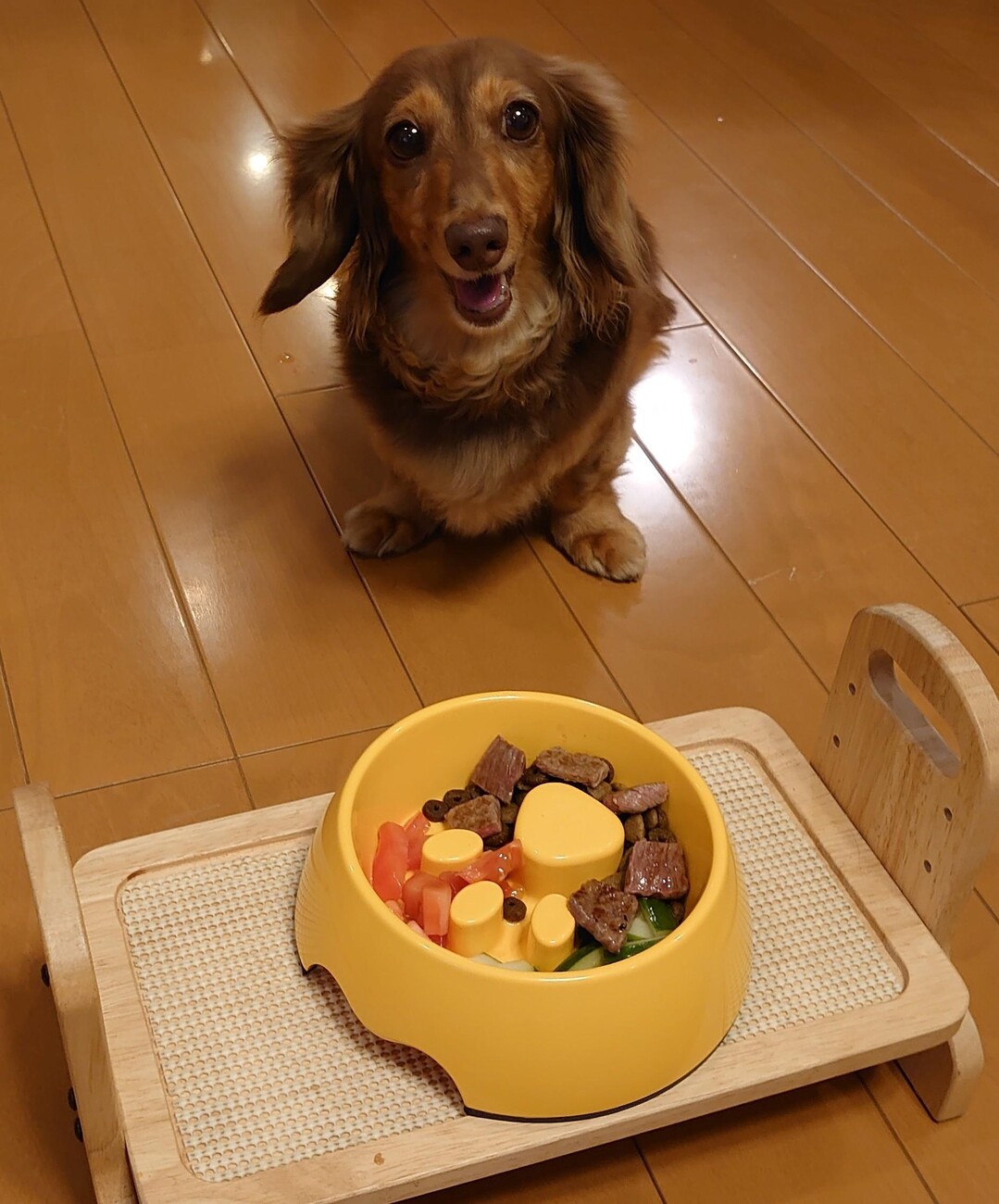 こんばんは⭐、もんちむです🐒 わたしは... / Pakkun🚶 & もんちむ🐒さんのモーメント | YAMAP / ヤマップ