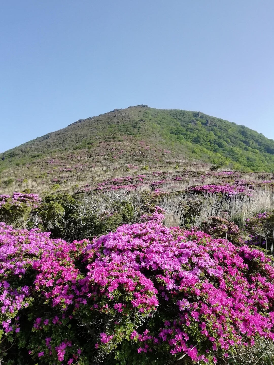 平治岳・北大船山・大船山 / enoさんの九重山（久住山）・大船山・星生山の活動データ | YAMAP / ヤマップ