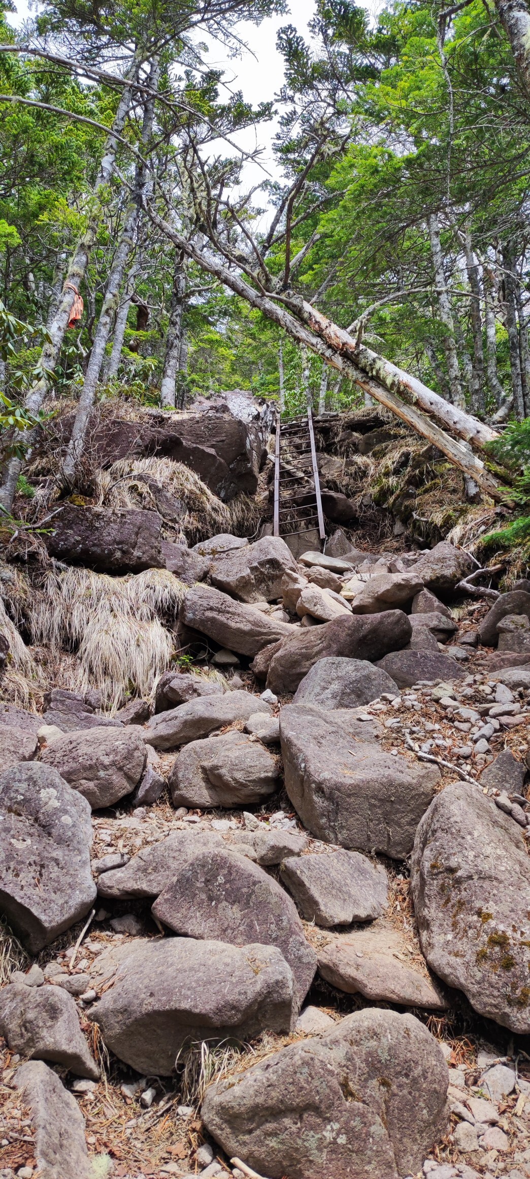 meさんの投稿したフィールドメモ | YAMAP / ヤマップ