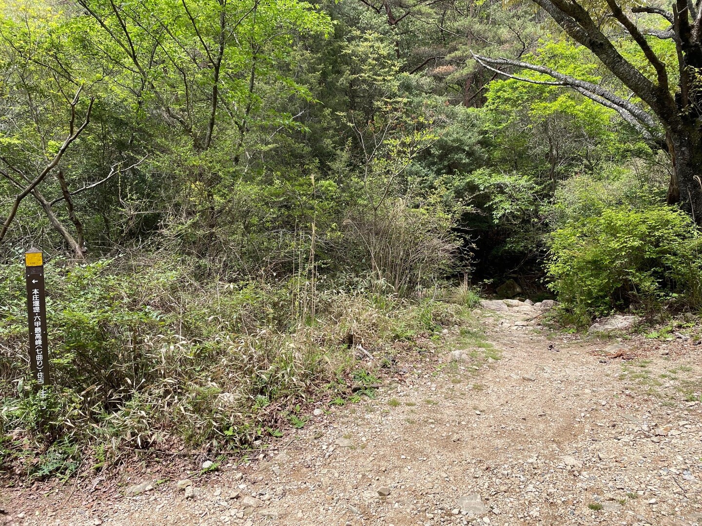Yoshikiさんの投稿したフィールドメモ | YAMAP / ヤマップ